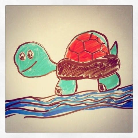 Red-Shell Turtle (and some water) - Natty Bumpercar